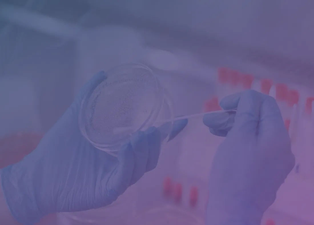 Case: Dynamic Code | Exsitec